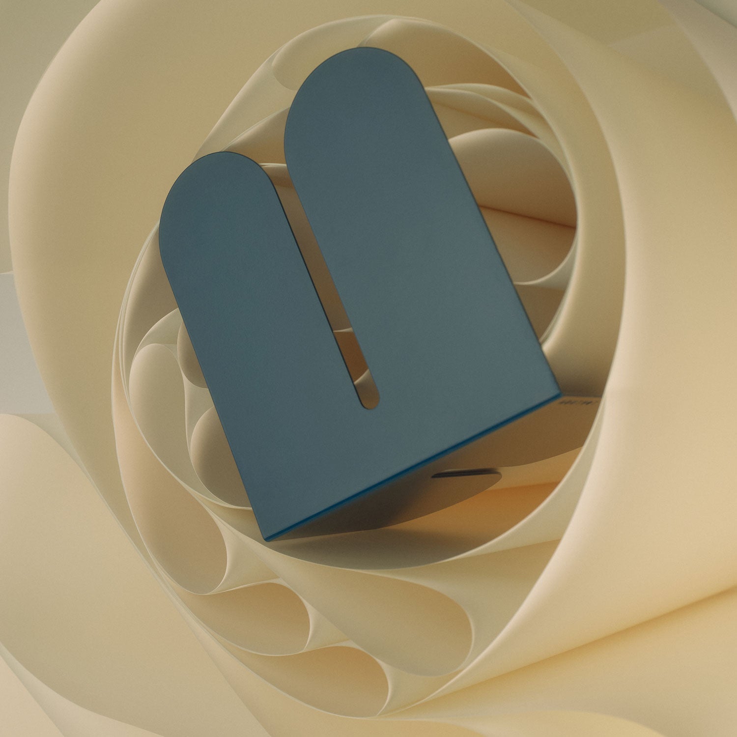 All Products – Tortuga Forma