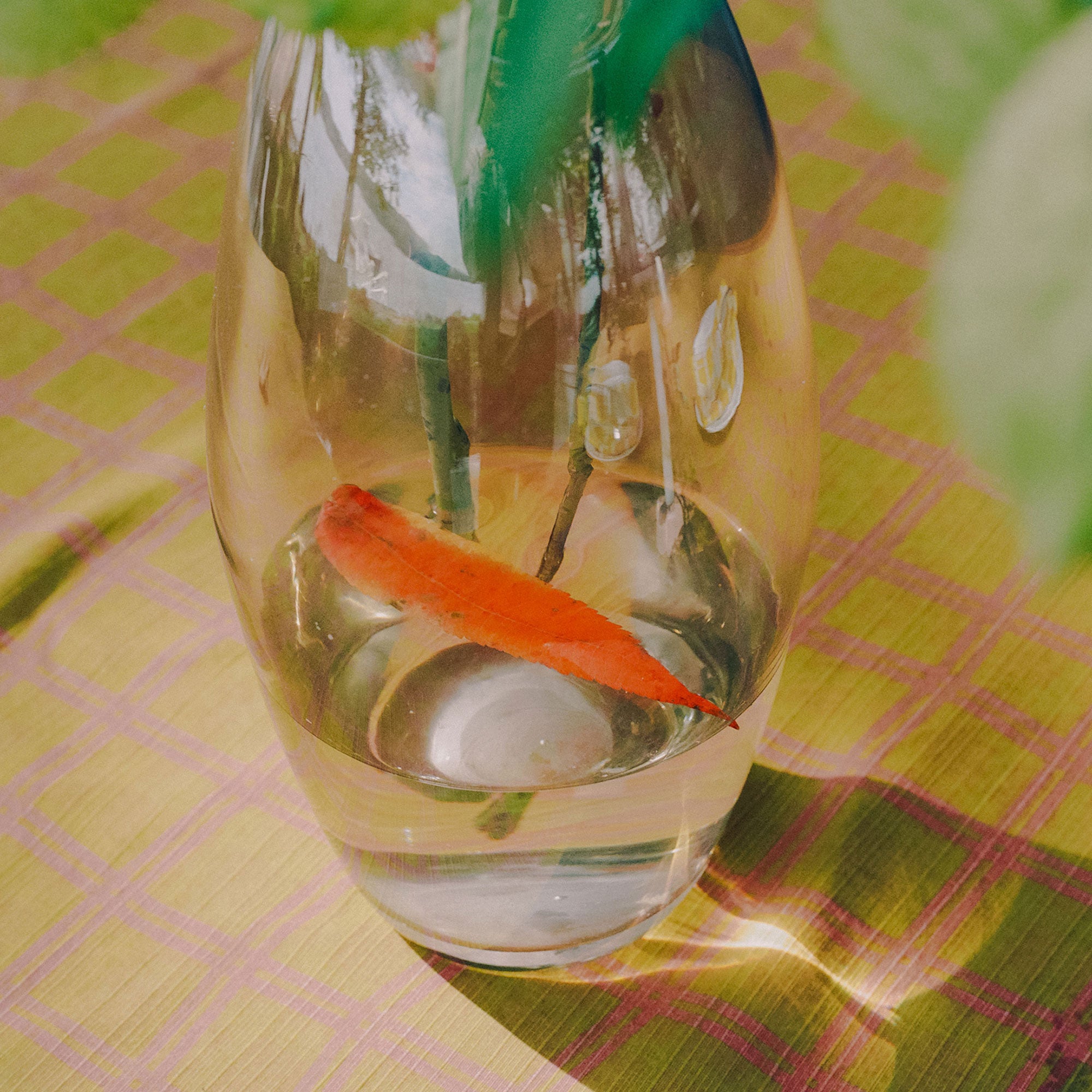 Portfolio 01: Touching Autumn – Tortuga Forma